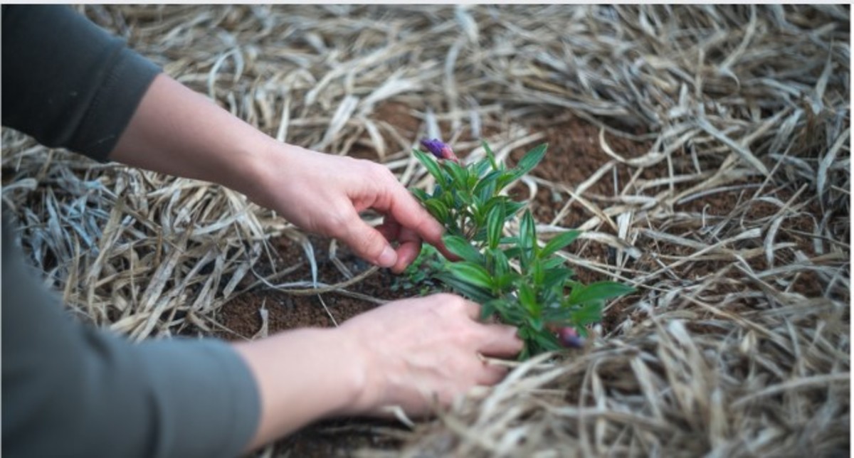 7 Uncommon Outdoor Hobbies to Engage In - HubPages