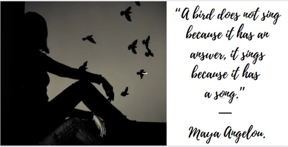 7 Uncommon Outdoor Hobbies to Engage In - HubPages