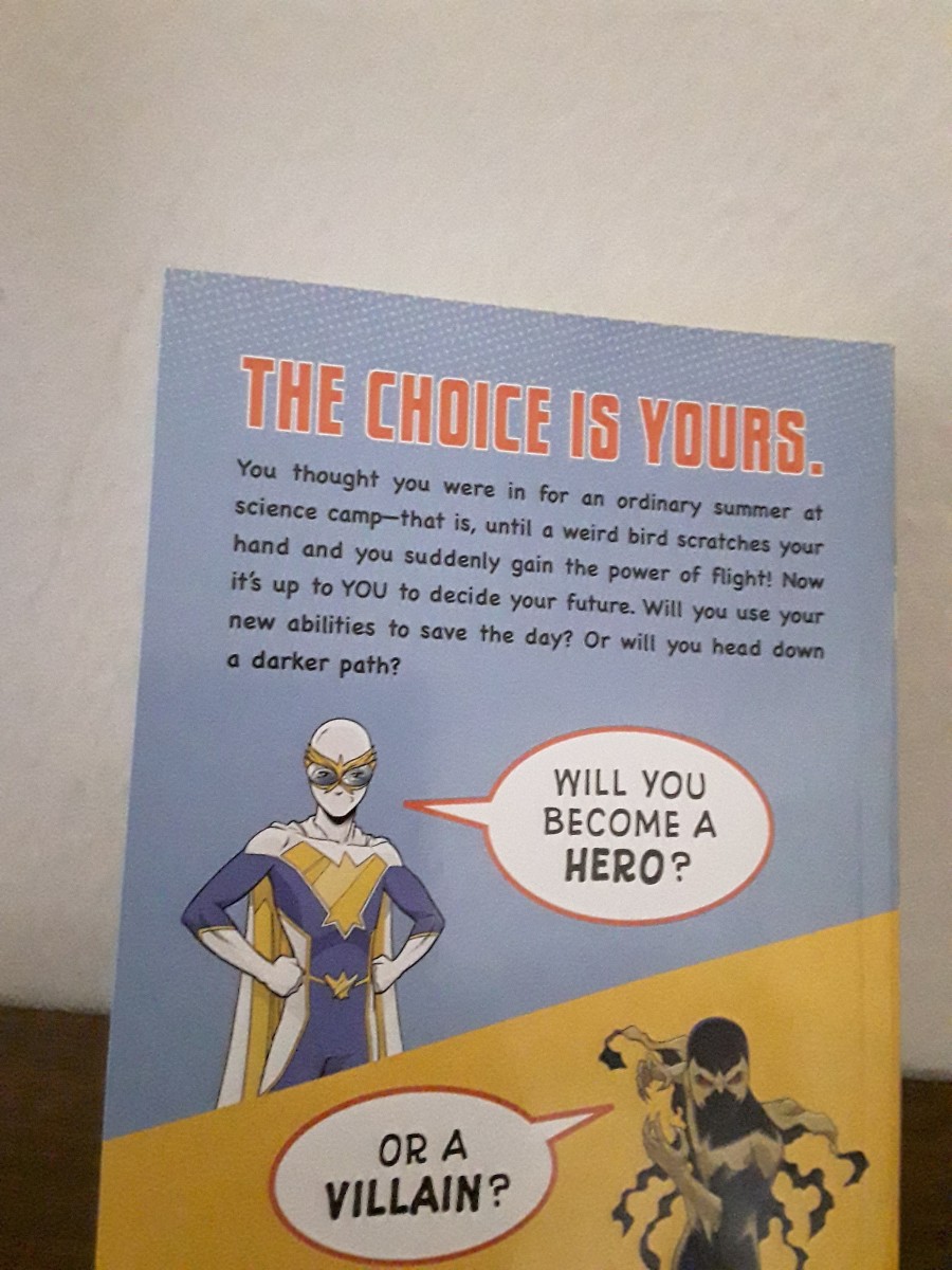 Hero or Villain Interactive Graphic Chapter Book for Readers to Choose ...