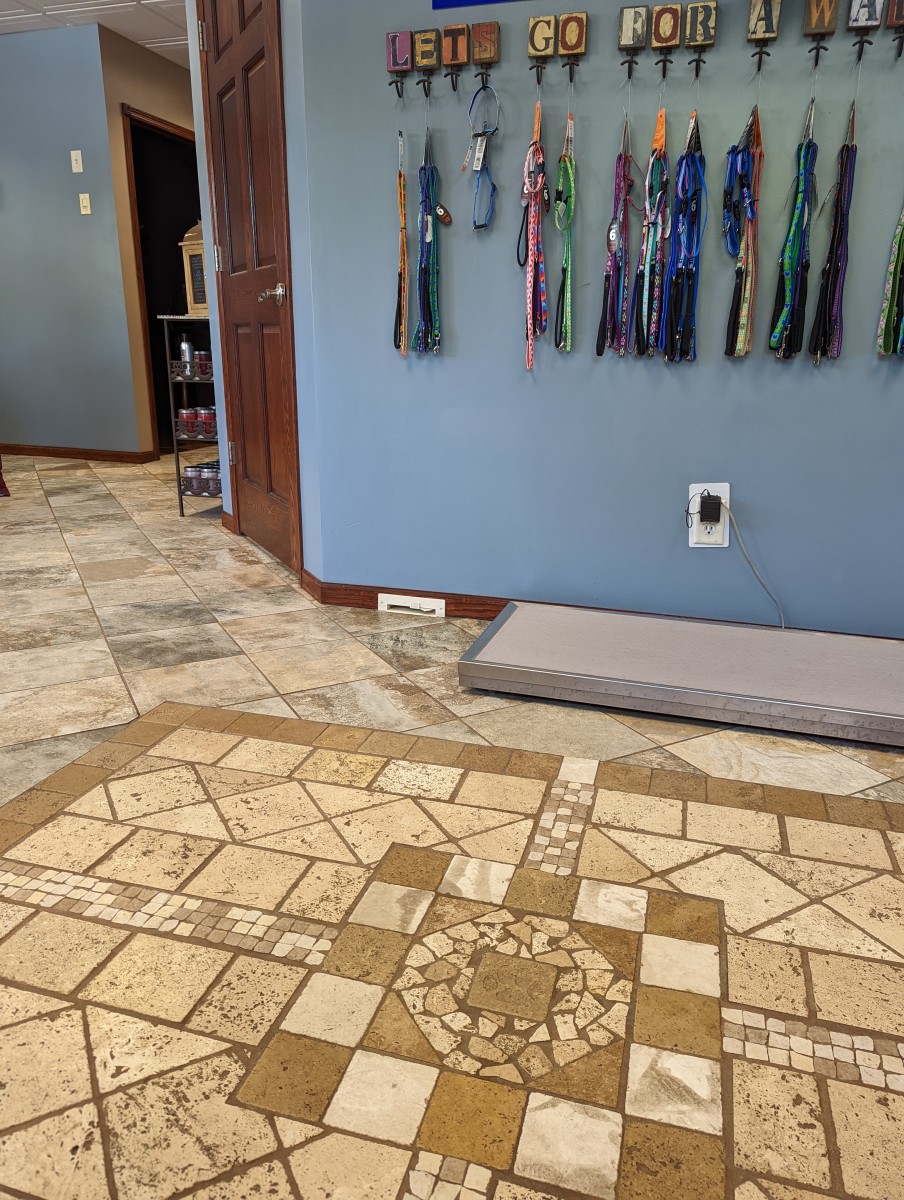 Vet Visit for My Labrador Retriever - HubPages