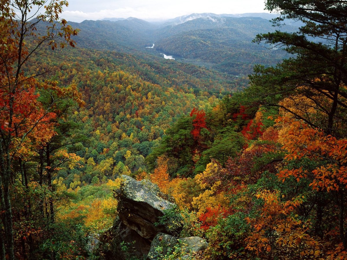 Embracing Nature's Beauty: Thanksgiving in the Appalachian Mountains ...
