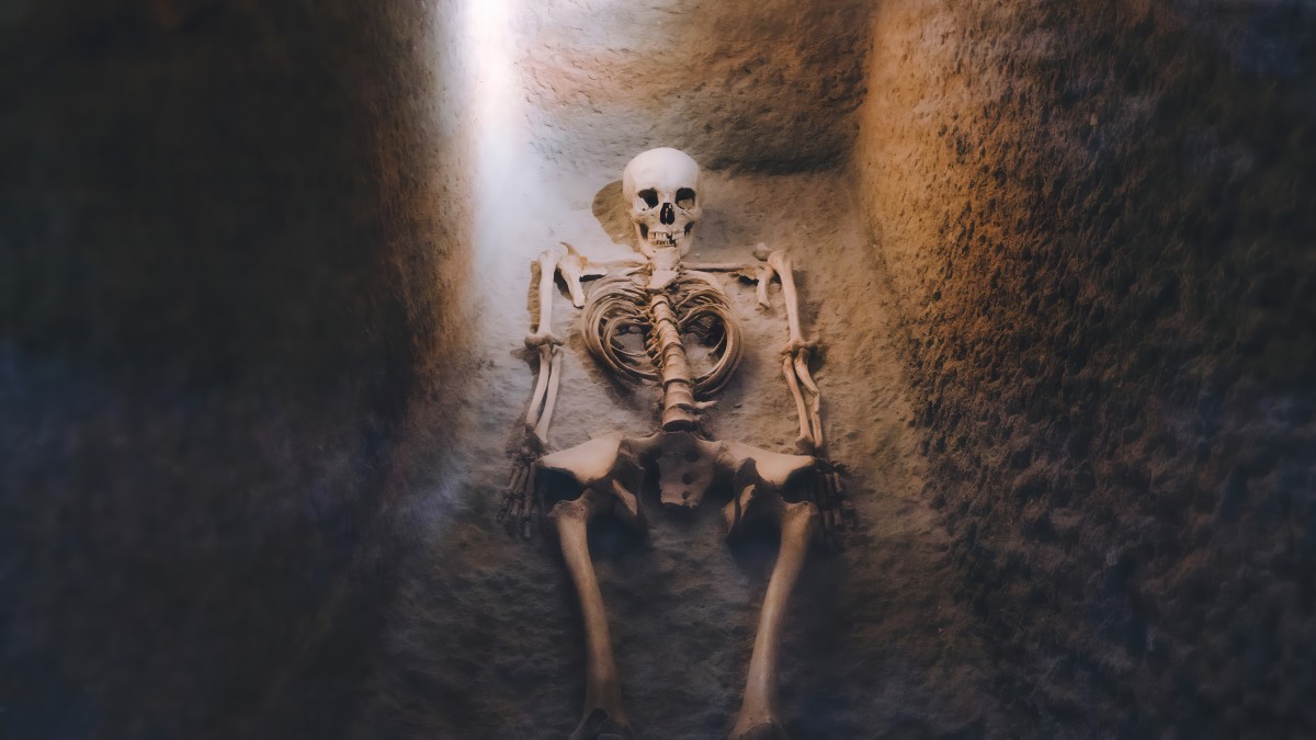 This Bone Chilling “Glass Gravesite” Lets You See Real Ancient ...