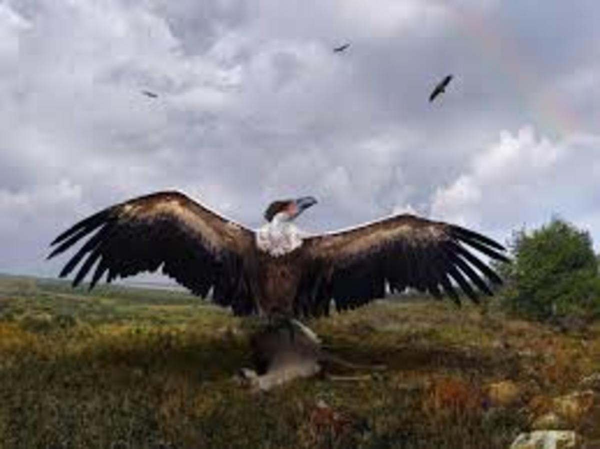 Mammoths, Saber-toothed Cats,and Wolves in Los Angeles, Ca! - HubPages