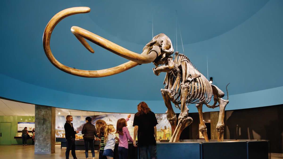 Mammoths, Saber-toothed Cats,and Wolves in Los Angeles, Ca! - HubPages