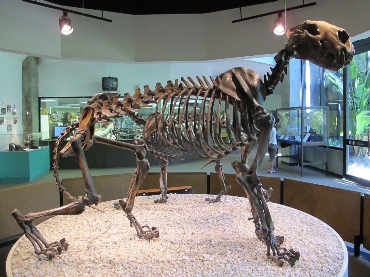 Mammoths, Saber-toothed Cats,and Wolves in Los Angeles, Ca! - HubPages