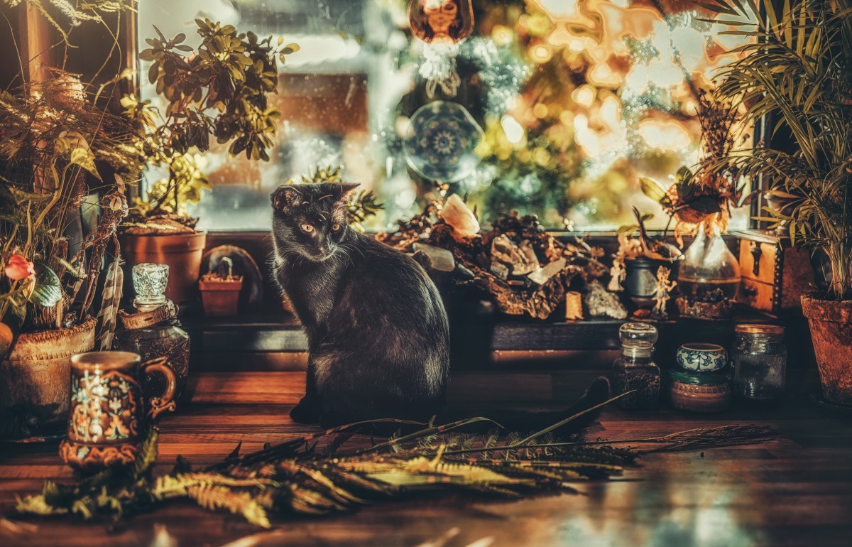 Secret Post-Credits Scene for Hocus Pocus 2 Holds Hidden Message - HubPages