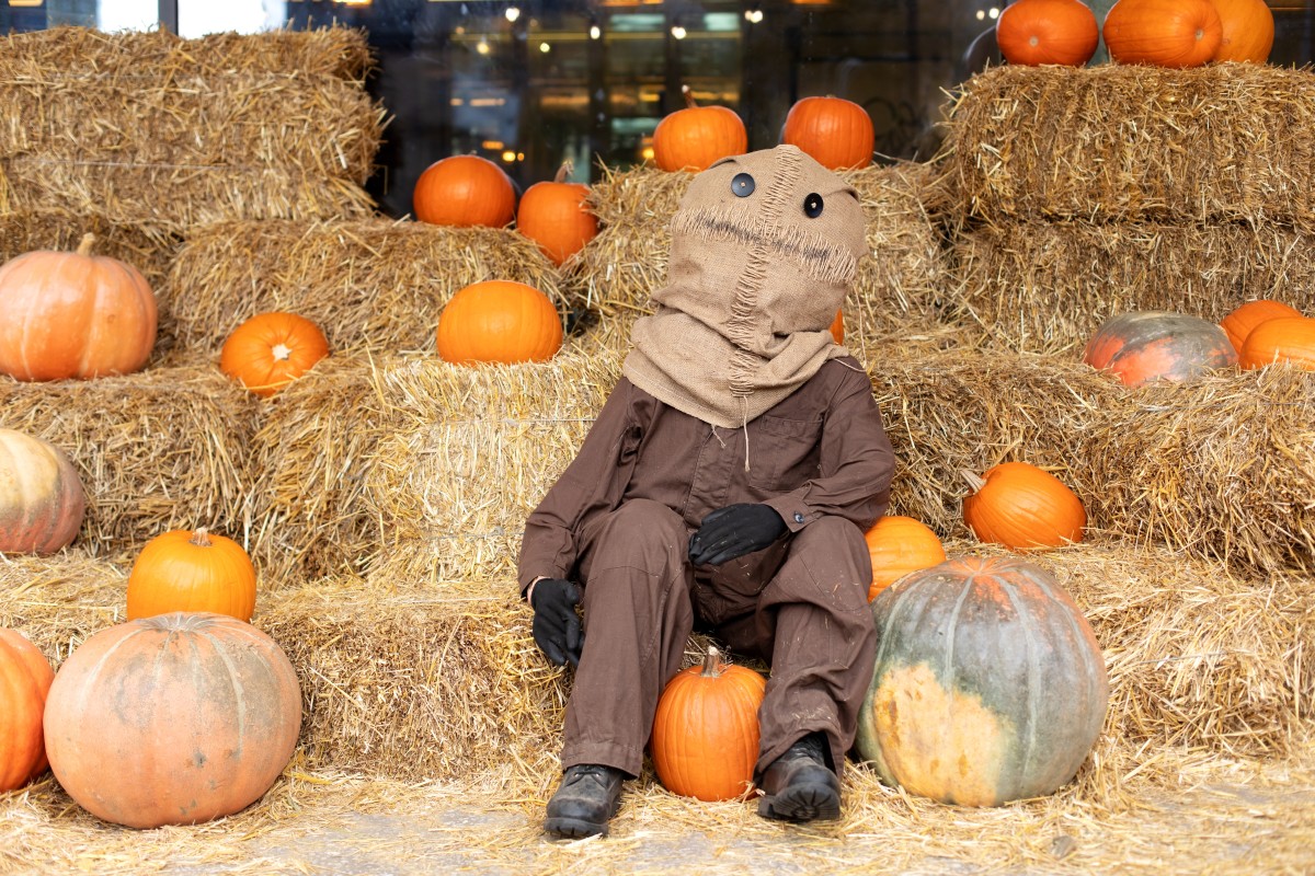 Man's Porch Camera Catches Halloween Decor Acting Strangely Alive ...