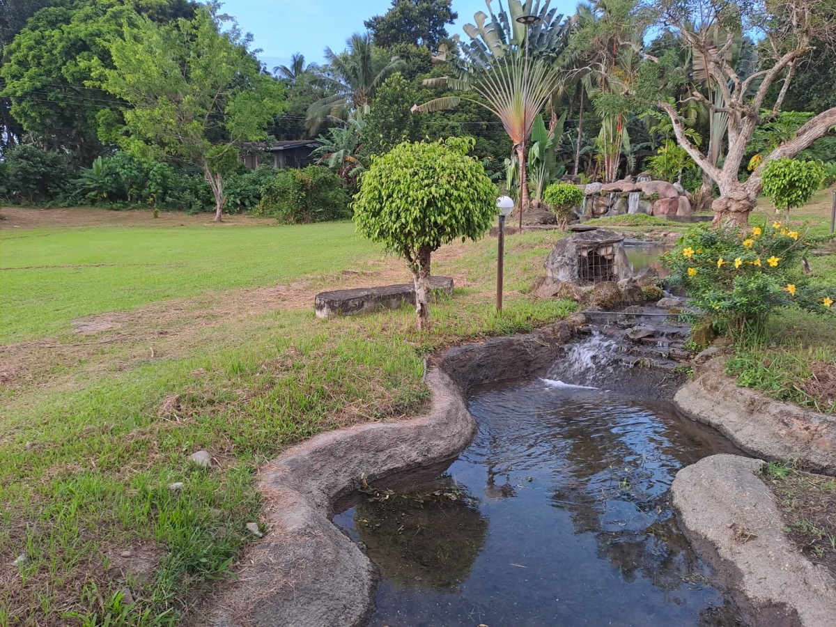 5 Reasons Why I Help Take Care of Rivers and Streams - HubPages