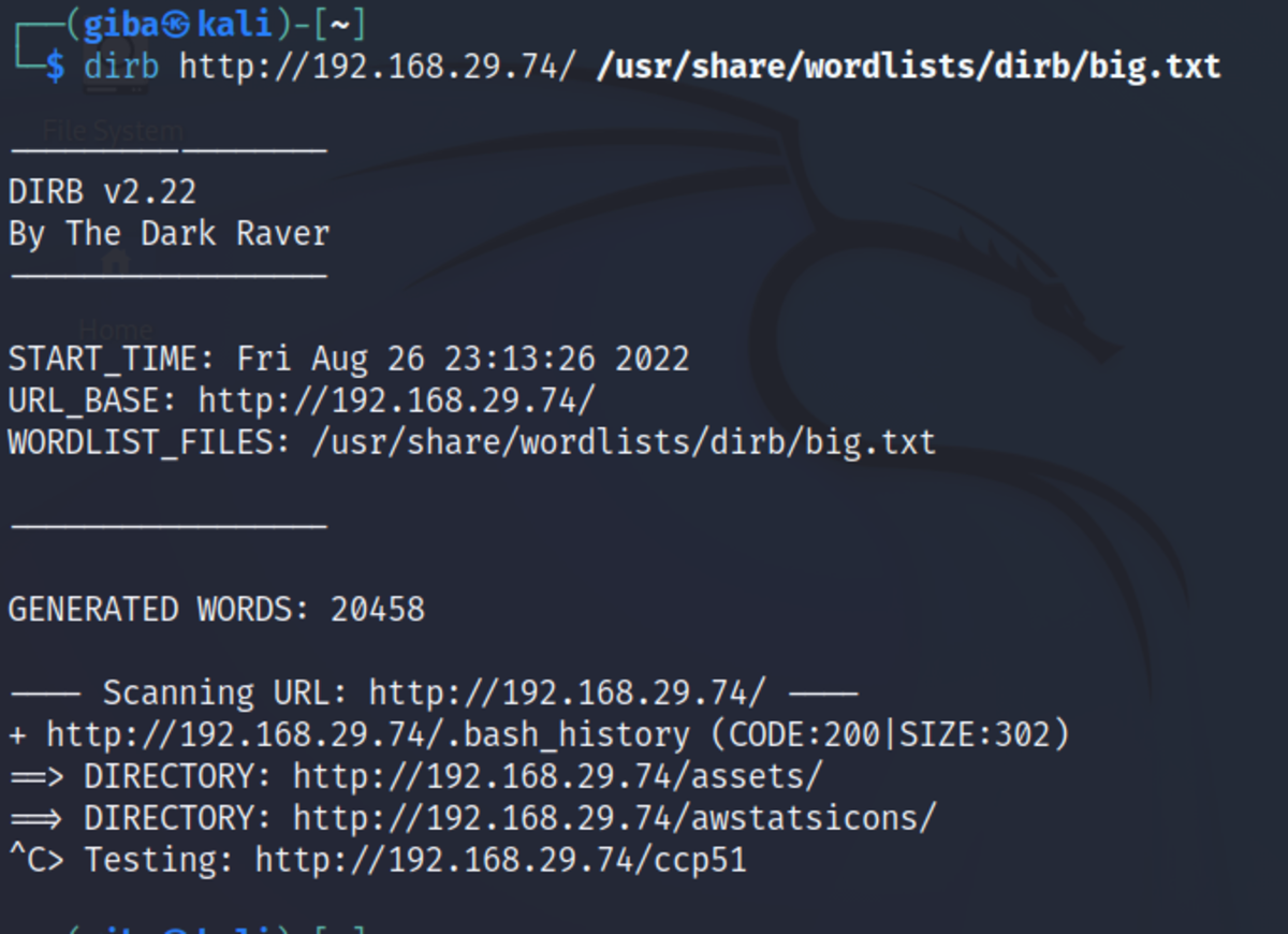 Website Enumeration and Information Gathering [Part 2] - HubPages