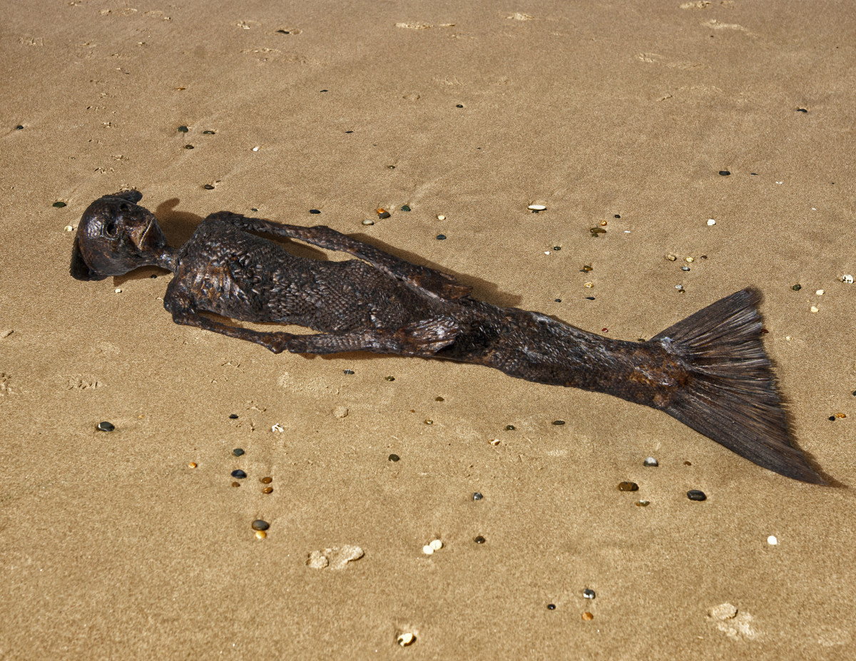 Weird Creature Crashes Against Ocean Cliff - HubPages