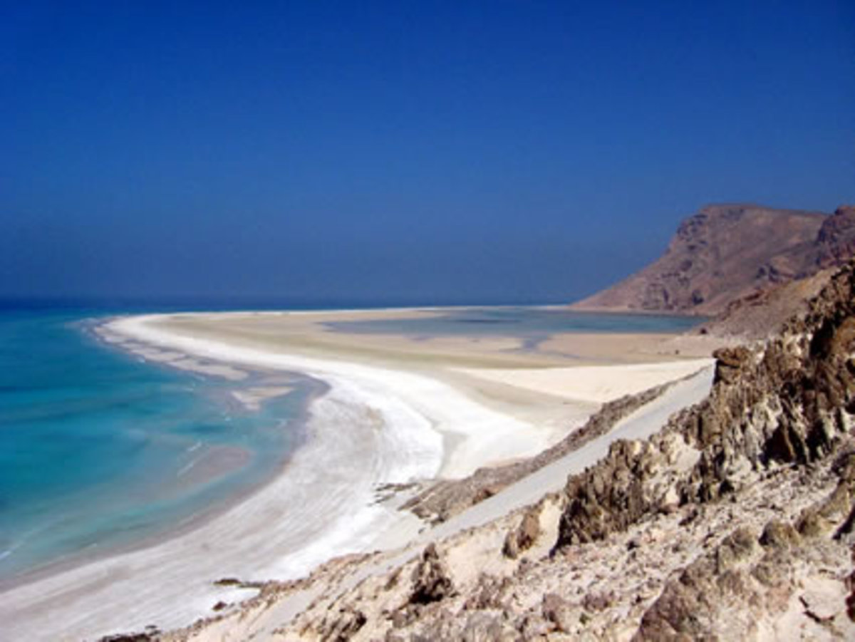 Socotra Island the Most Exotic Nature and Wildlife in the Earth - HubPages