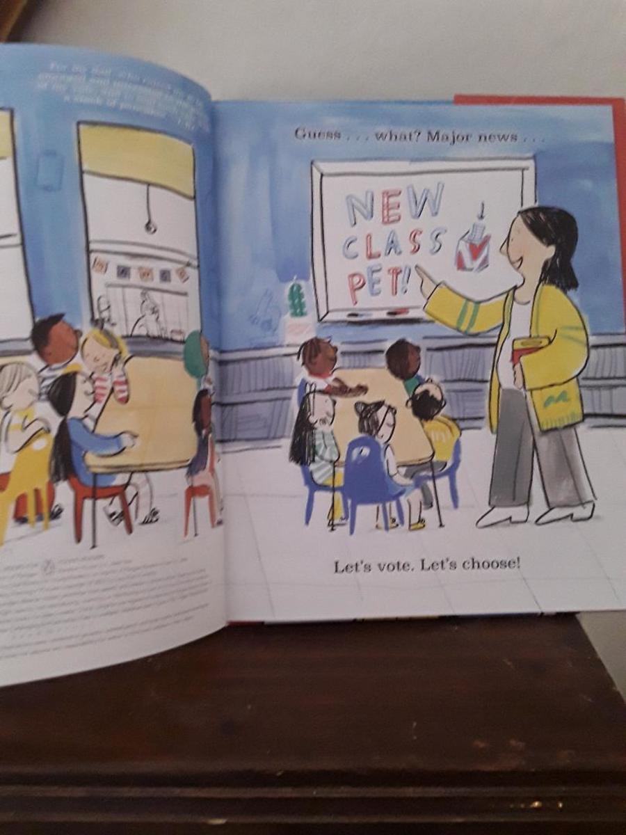 Voter Education for Young Readers in Picture Book and Story - HubPages