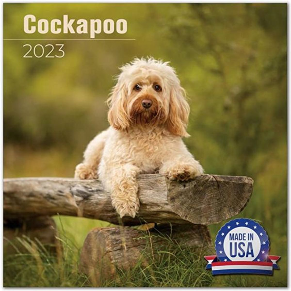 Cockapoos: The Cutest Dog in the World! - HubPages
