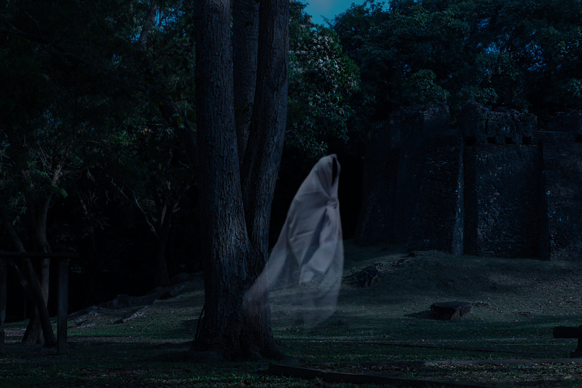 Video Records Ghostly Figure Rising From Bog - HubPages