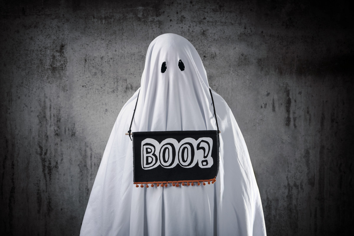 Woman Hysterically Parodies What It Looks Like From Ghost’s POV When ...