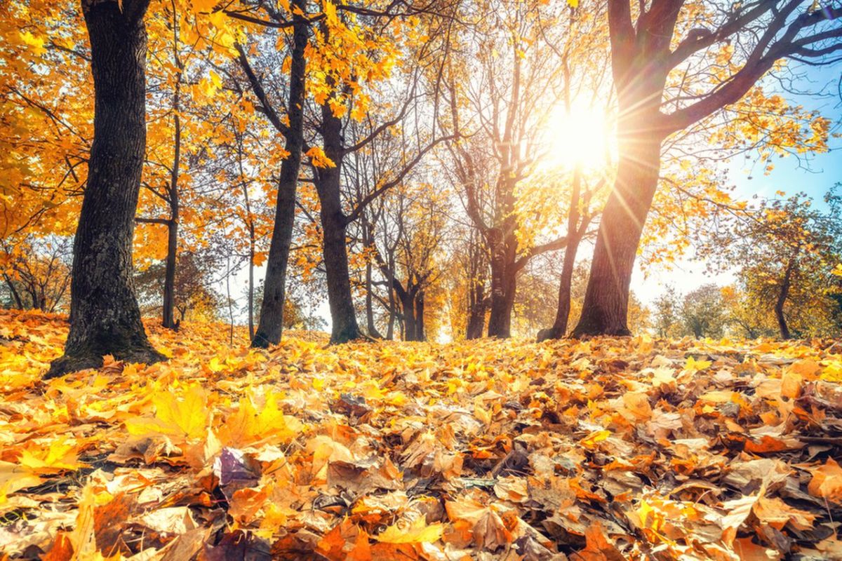 Best Things About Autumn HubPages
