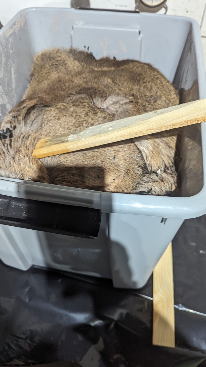 De Hair the Deer Hide with Ash Water for 5 Days - HubPages