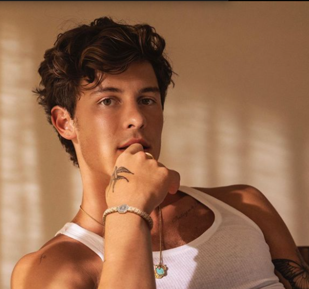 10 Hottest Young Singers of the 2020s - HubPages