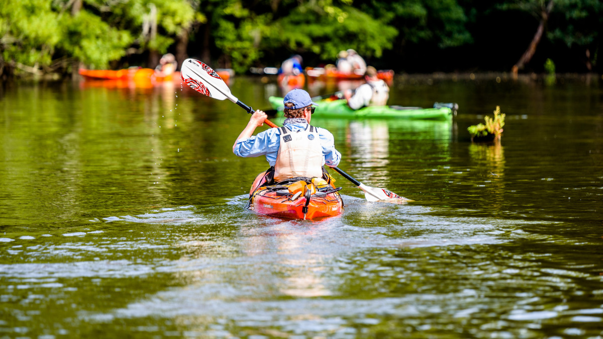 Kayaking in Tennessee: 9 Rivers With Launch Sites and Maps - HubPages