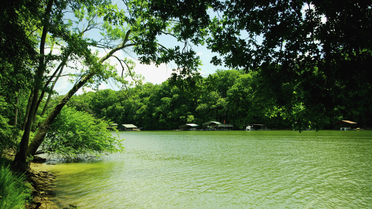 Kayaking in Tennessee: 9 Rivers With Launch Sites and Maps - HubPages