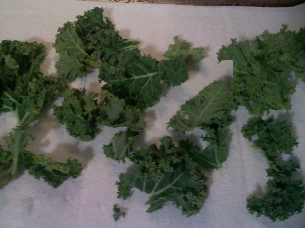 Quick and Easy Homemade Kale Chips - HubPages