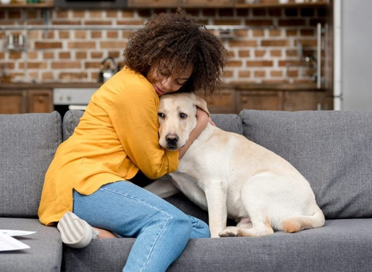 11 Scientifically Proven Health Benefits of Having a Dog - HubPages