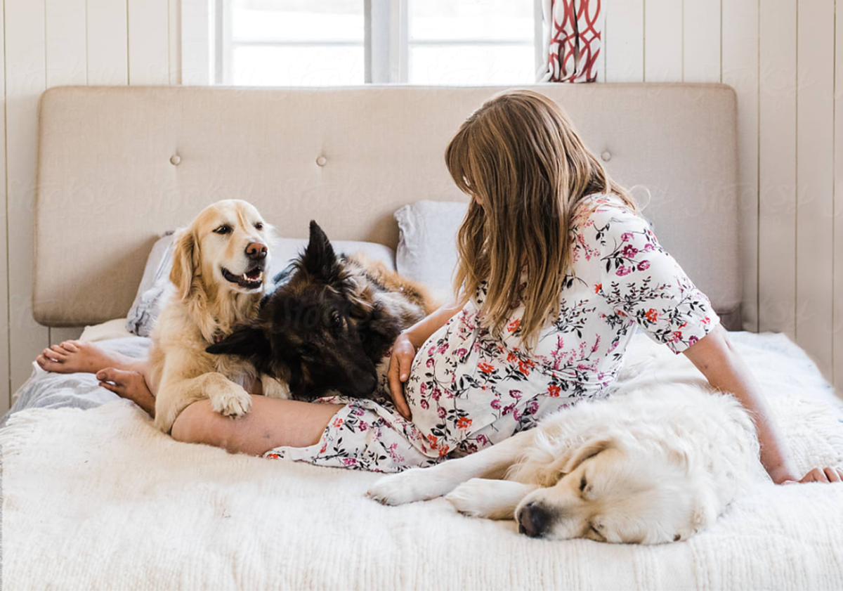 11 Scientifically Proven Health Benefits of Having a Dog - HubPages