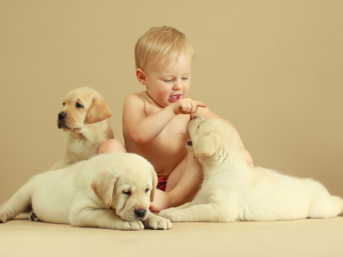 Science-Based Health Benefits For Children Of Growing Up With Dog ...