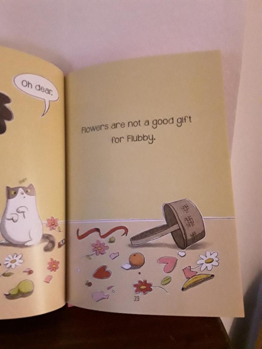 Pets and Valentine's Day Celebrate With Flubby the Cat in Adorable ...