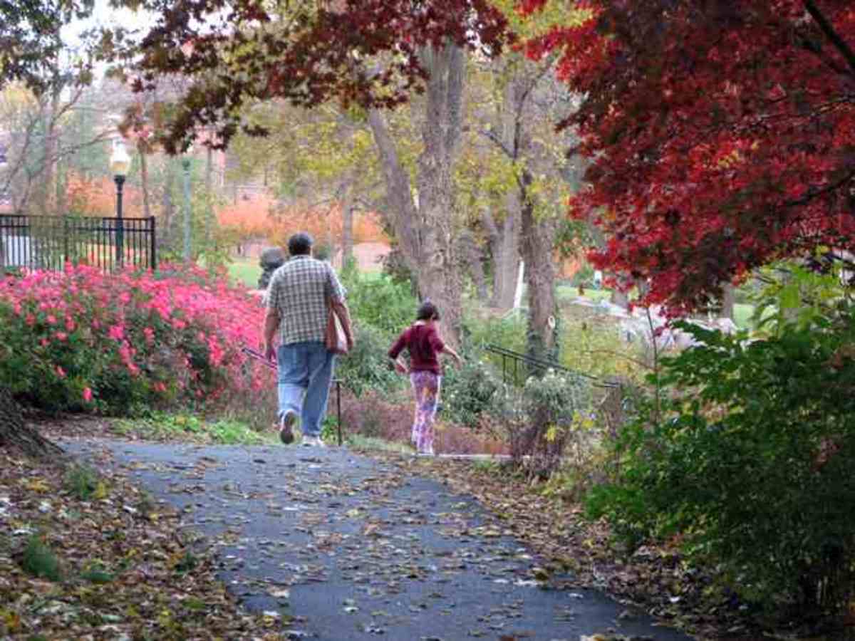 Habits and Routines Why Do We Always Follow the Same Patterns? - HubPages