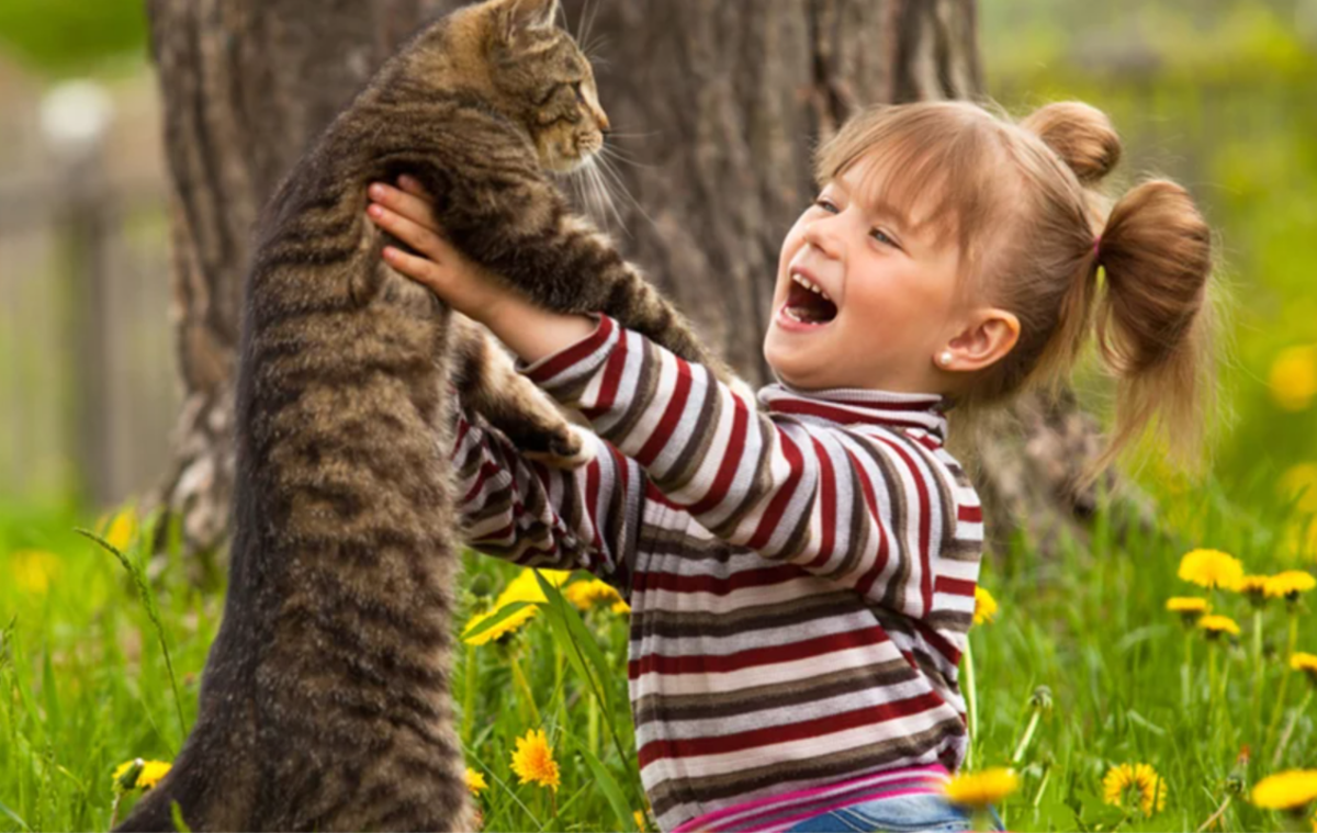 10 Science-Based Health Benefits For Children of Growing Up With Cats ...