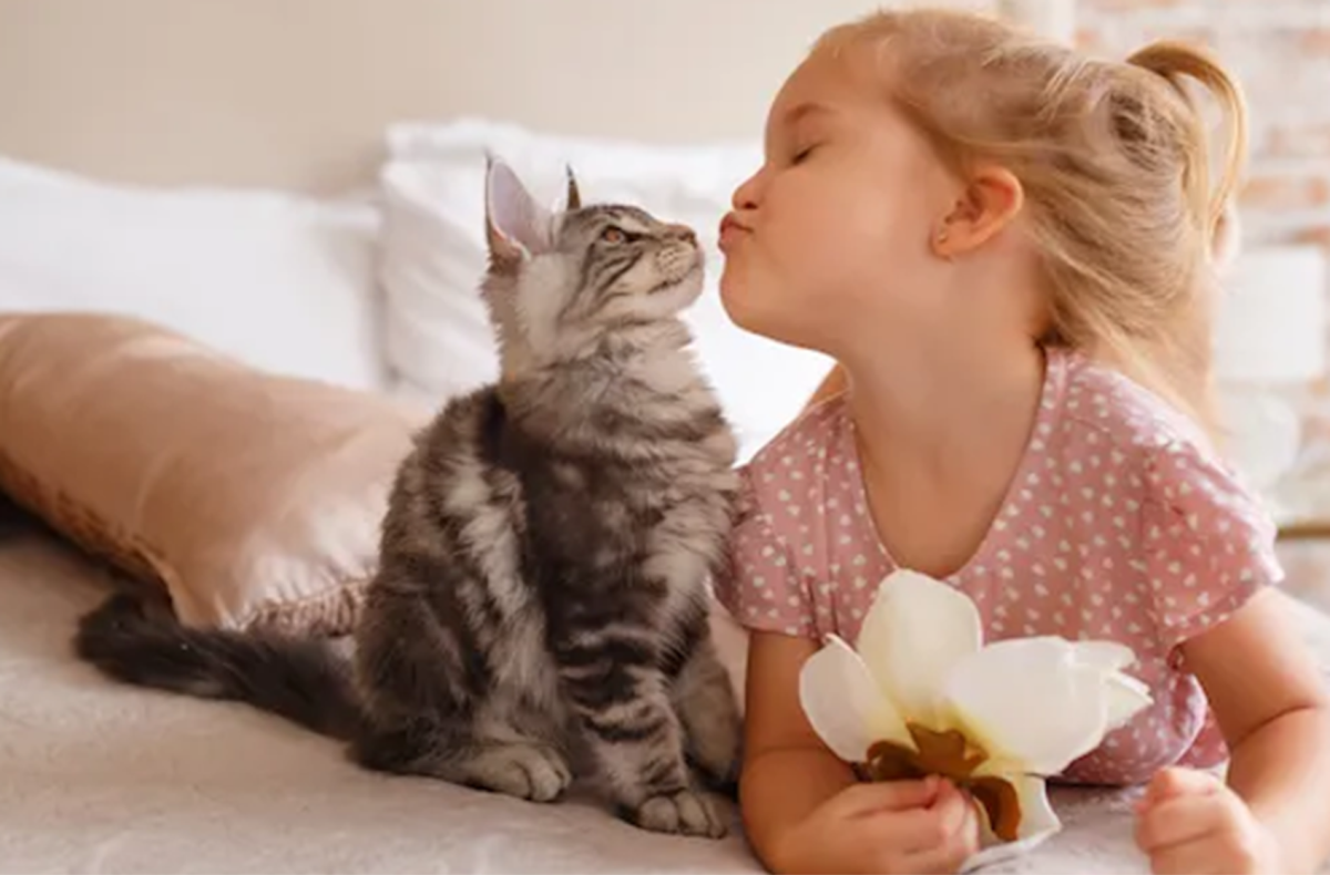 10 Science-Based Health Benefits For Children of Growing Up With Cats ...