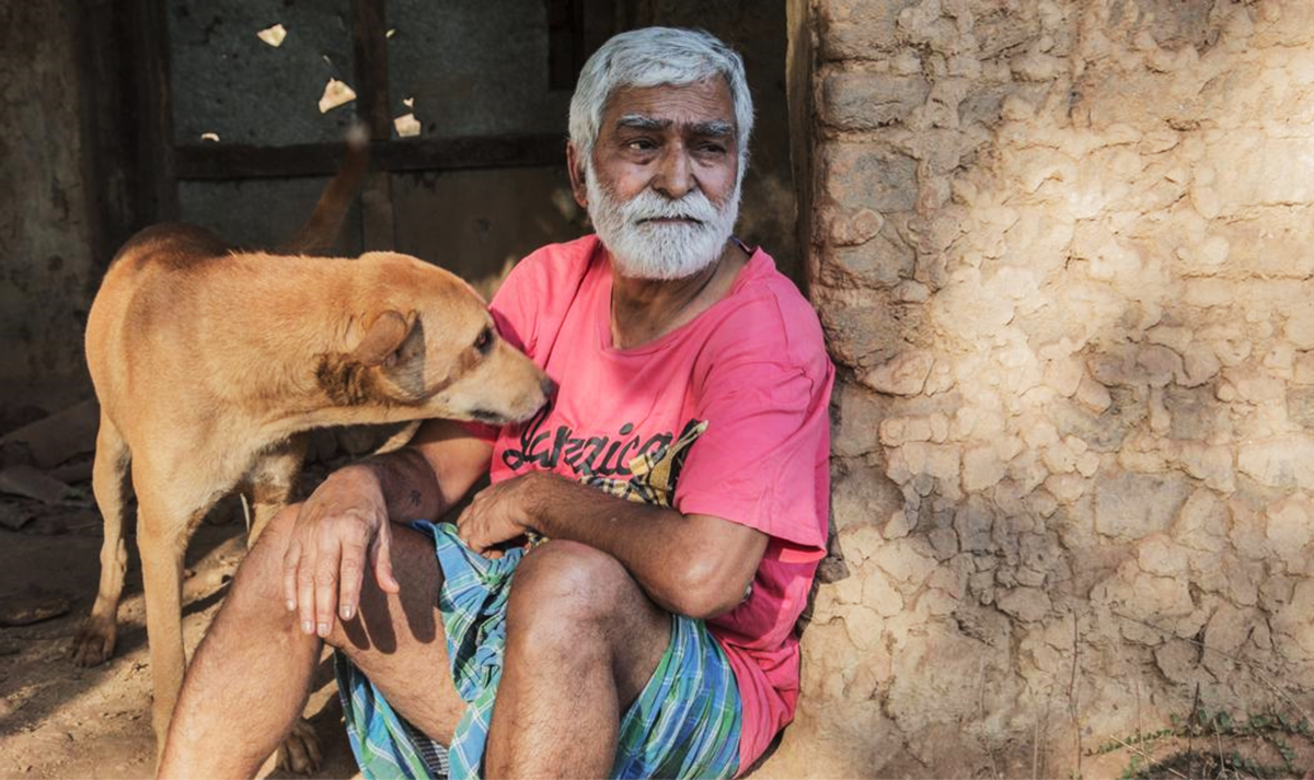 11 Benefits Of Owning a Dog For Senior Citizens - HubPages