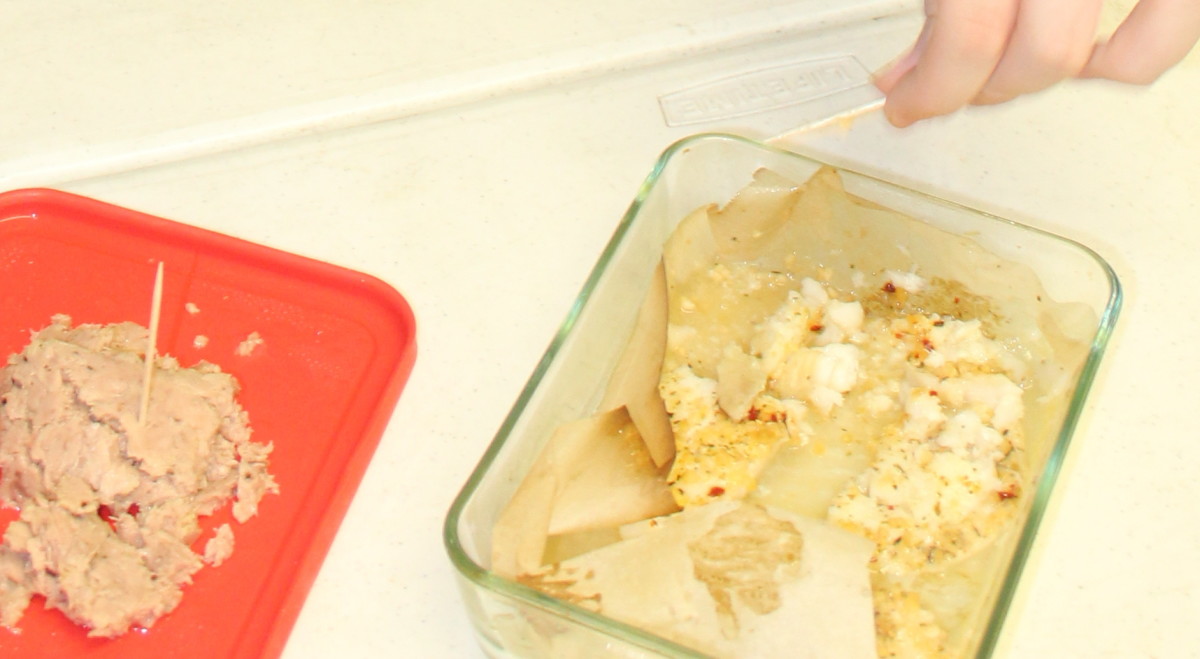 Fish Anatomy and Fish Dissection Lesson Plan for Middle School Biology ...