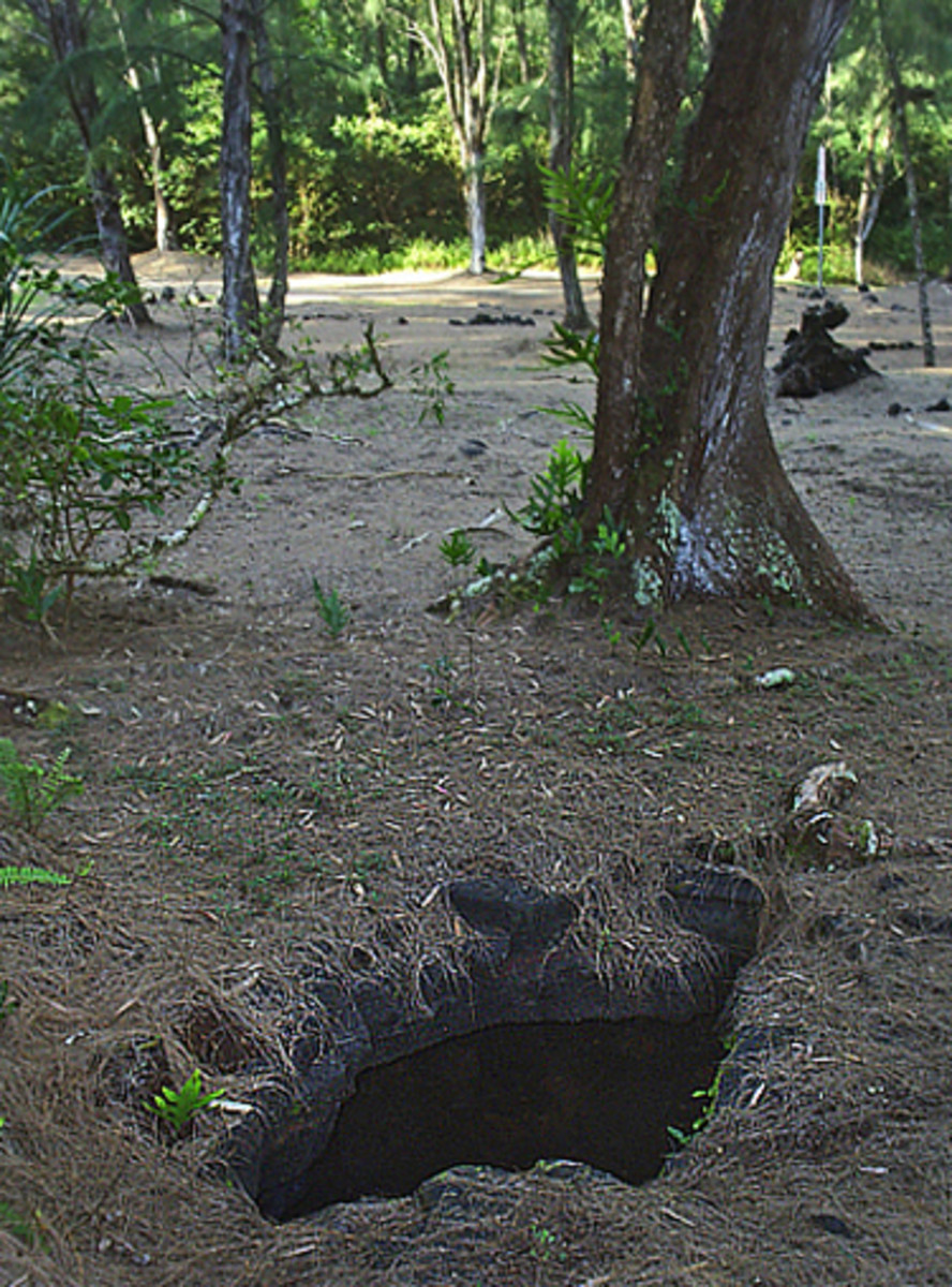 MacKenzie State Park in Hawaii: Murder Stories and Haunted Legends ...