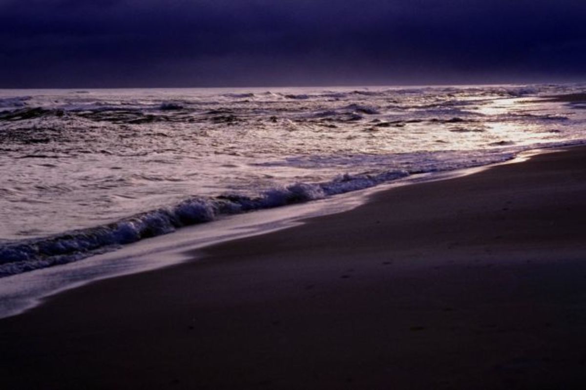 Out of the Cradle Endlessly Rocking by Walt Whitman: A Commentary ...