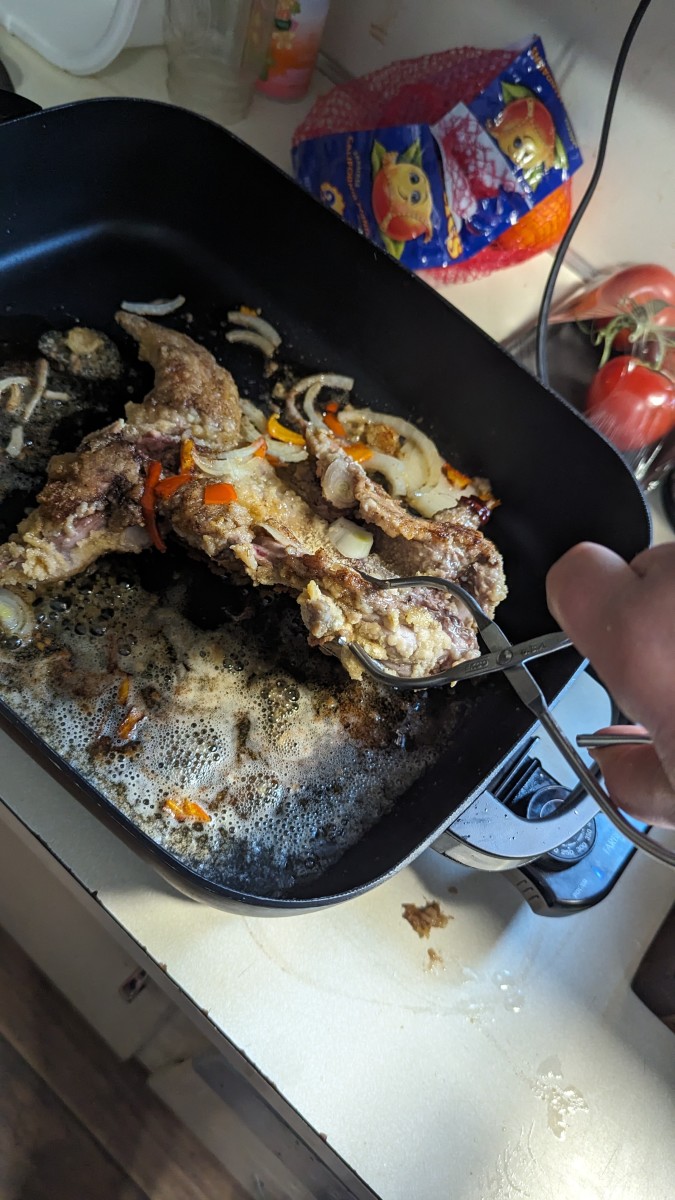 Squirrel - Chicken Fried for Hours - HubPages