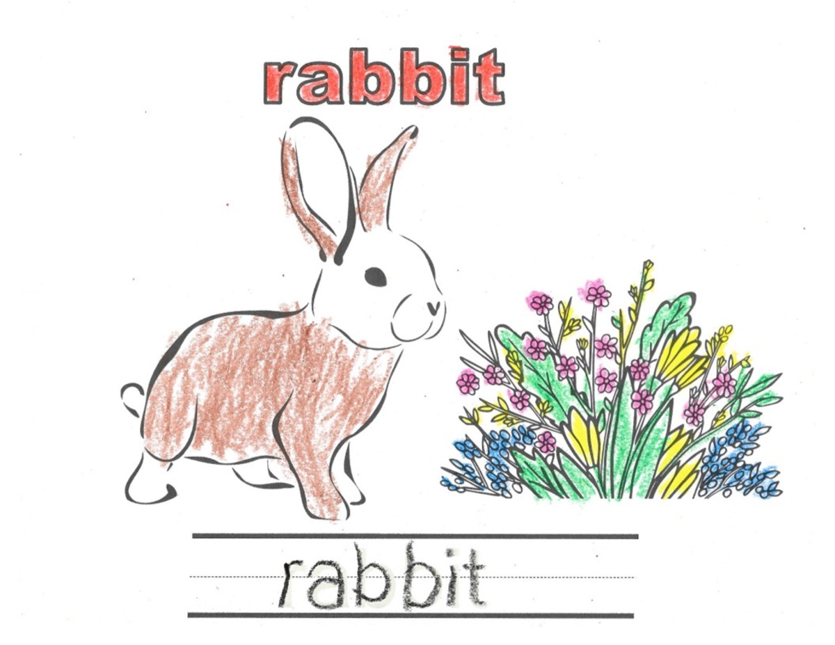 17 Easy Rabbit Crafts With Printable Templates - HubPages