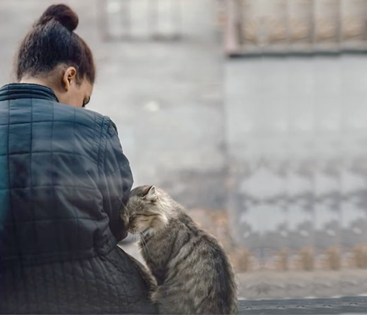 11 Benefits of Having A Cat For Singles Who Live Alone - HubPages