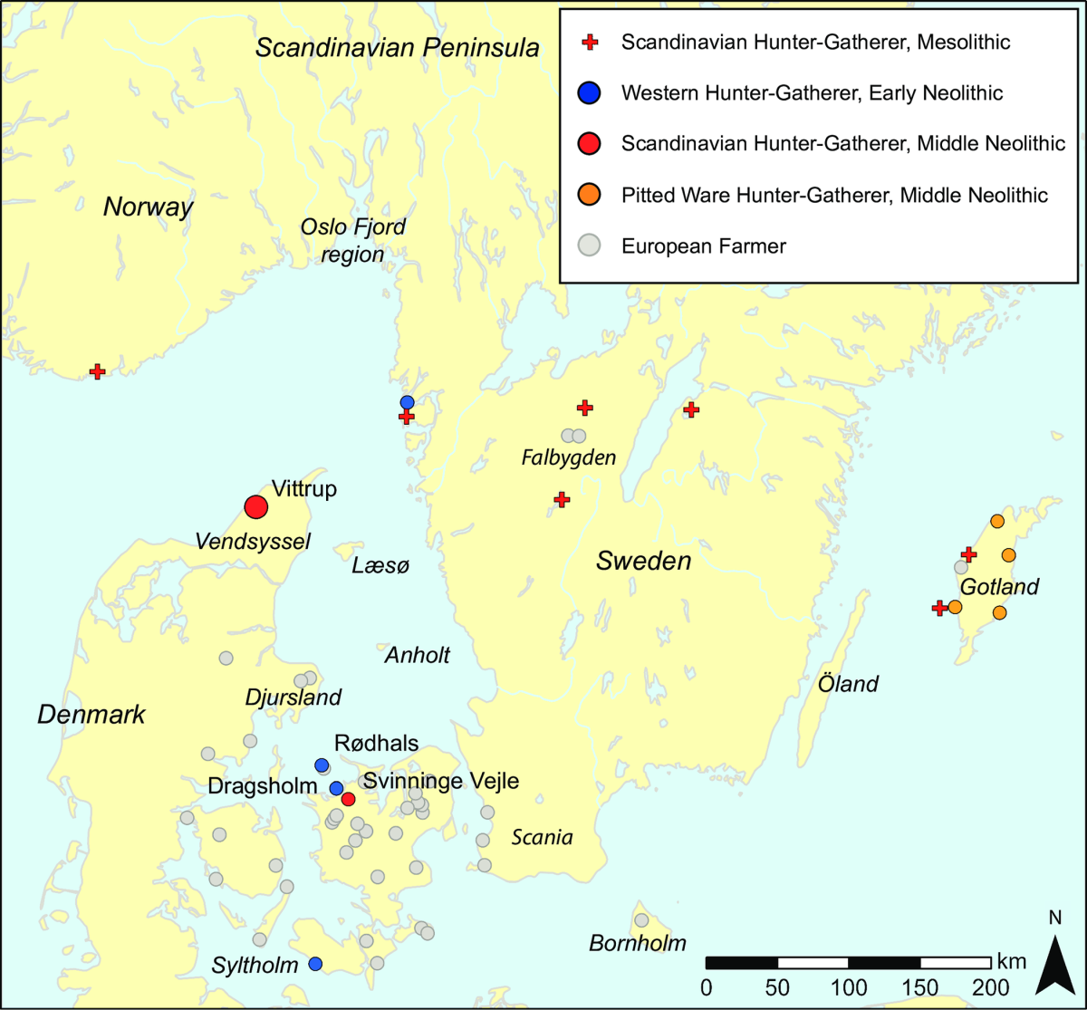 Stone Age Bog Body Died 5000 Years Ago; Vittrup man - HubPages
