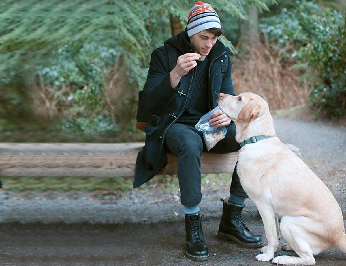 11 Best Dogs for Single Men Living Alone - HubPages