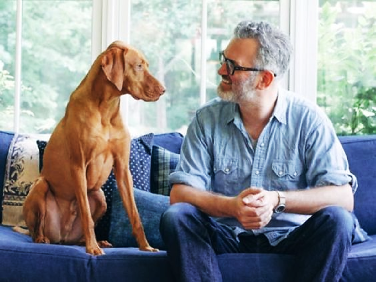 11 Best Dogs for Single Men Living Alone - HubPages