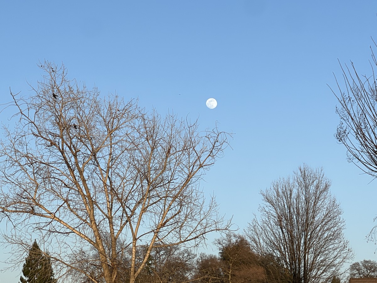 Working With the Virgo Full Moon and Your Sign: Balancing Healing and ...