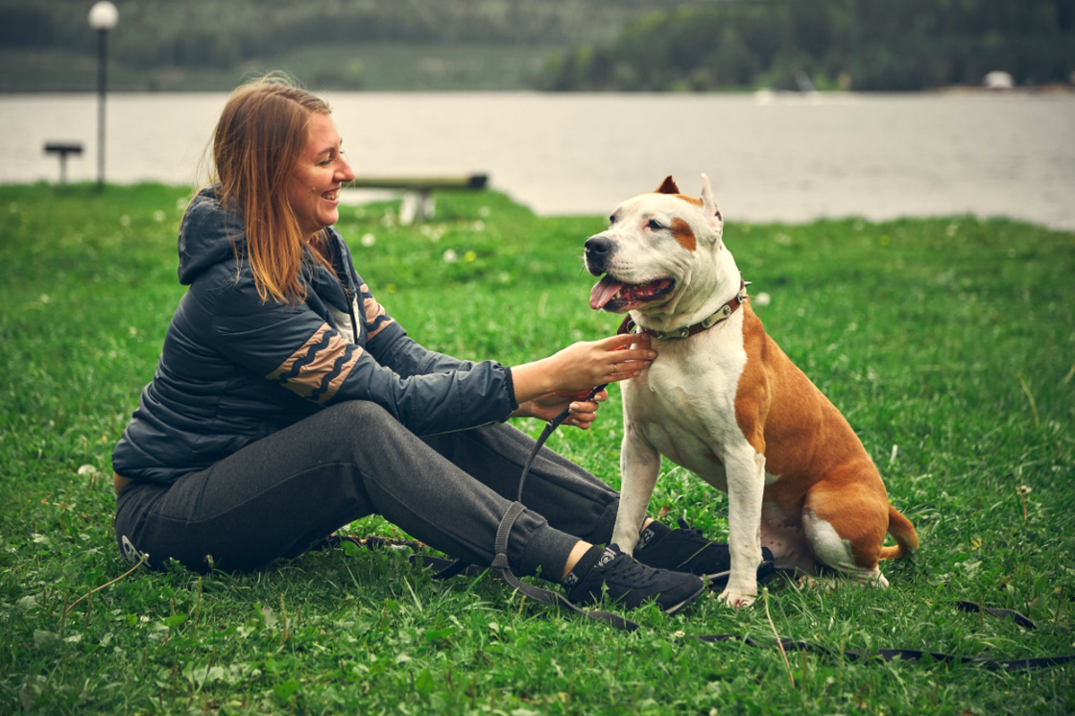 11 Best Personal Security & Protection Dogs For Single Living Women ...