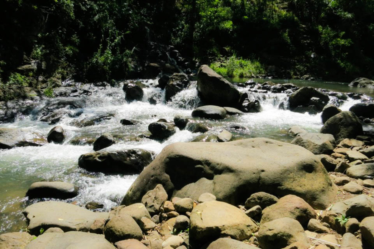 Travel Guide - Best Activities You Should Do in Bacolod, Negros ...