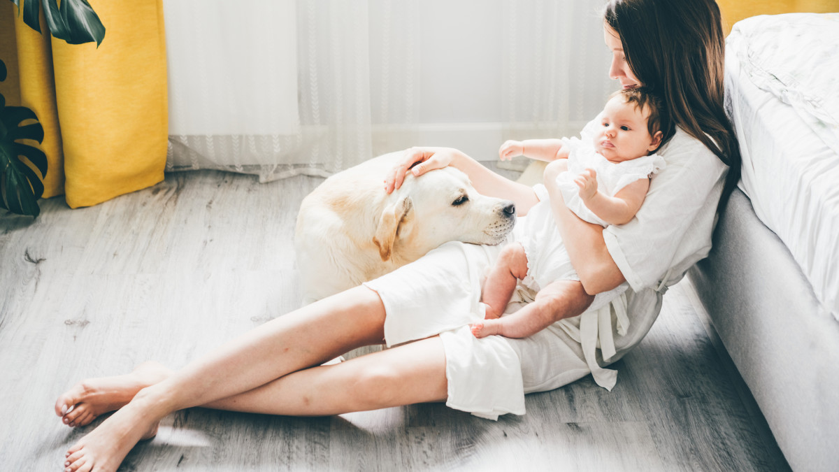Five Ways Babies Are Like Dogs and One Very Big Way They’re Not ...