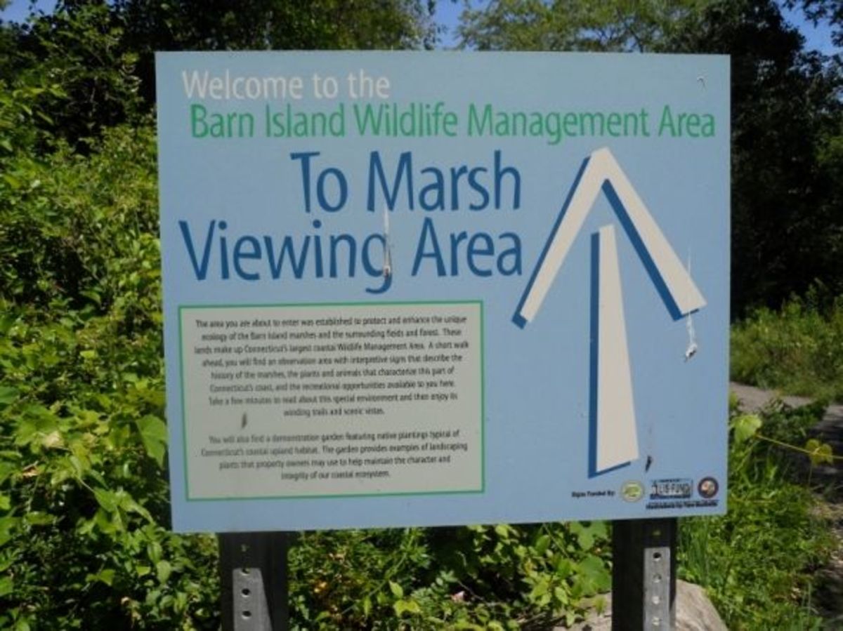 Hiking Barn Island, Stonington, Connecticut - HubPages