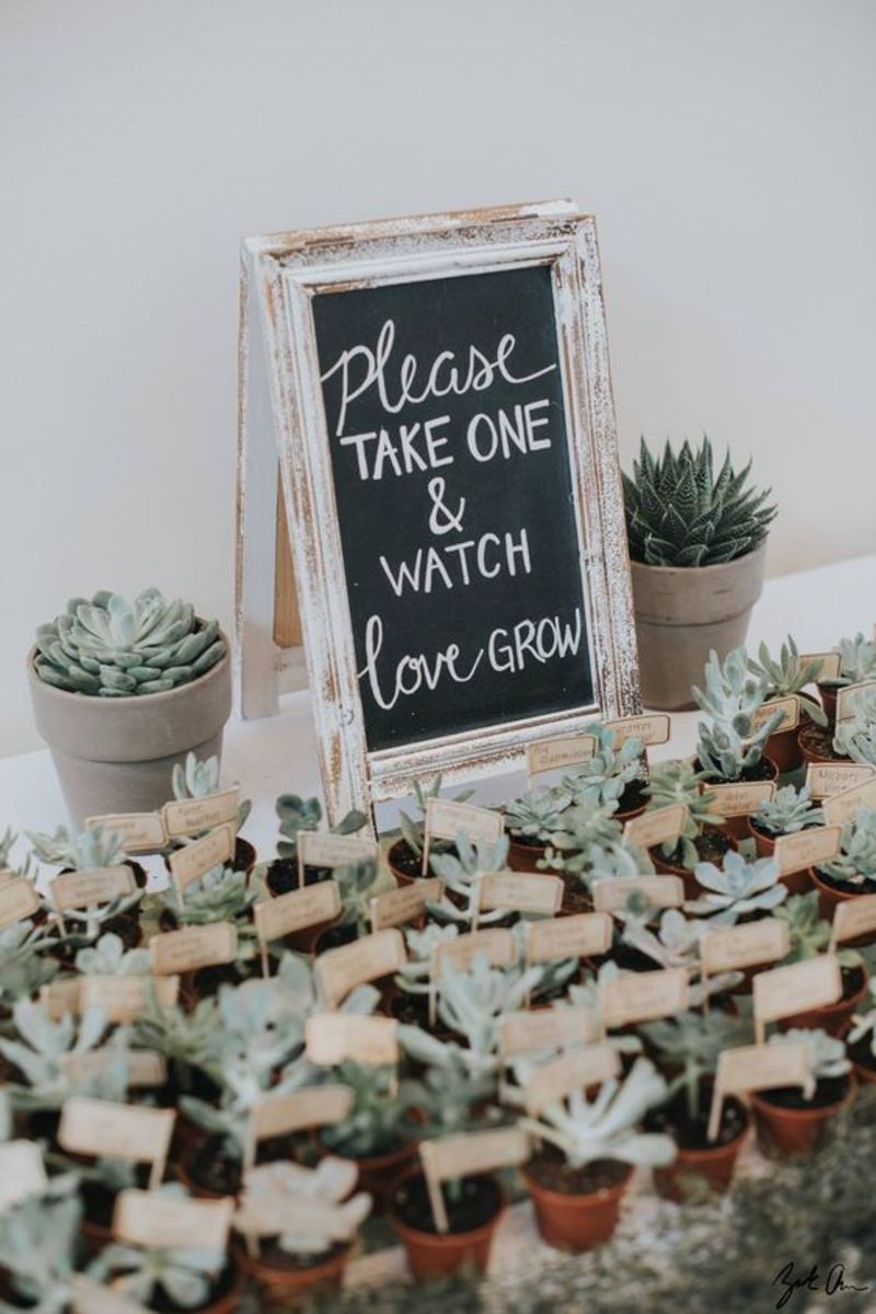 60+ Creative Wedding Favors Your Guests Will Love - HubPages