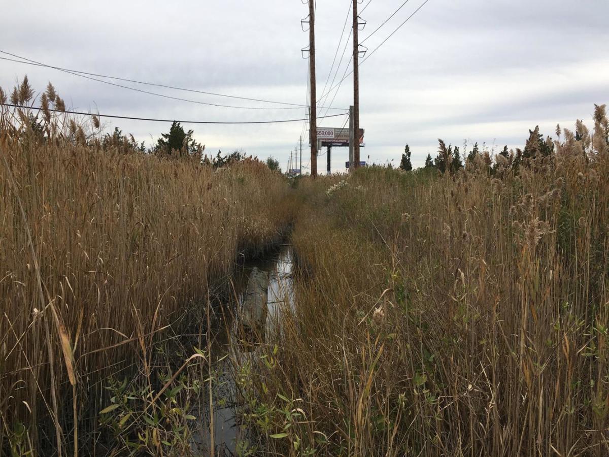 Eastbound Strangler: Four Women Found Dead in an Atlantic City Ditch - The CrimeWire