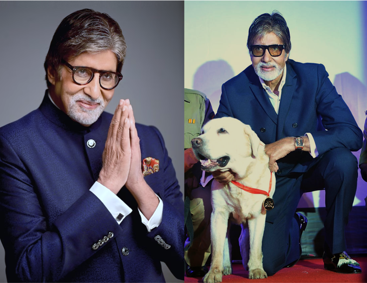18 Bollywood Celebrities Who Own a Labrador Retriever - HubPages